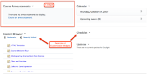 Course Homepage - eLearning Commons