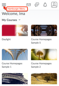 eLC Dashboard - eLearning Commons